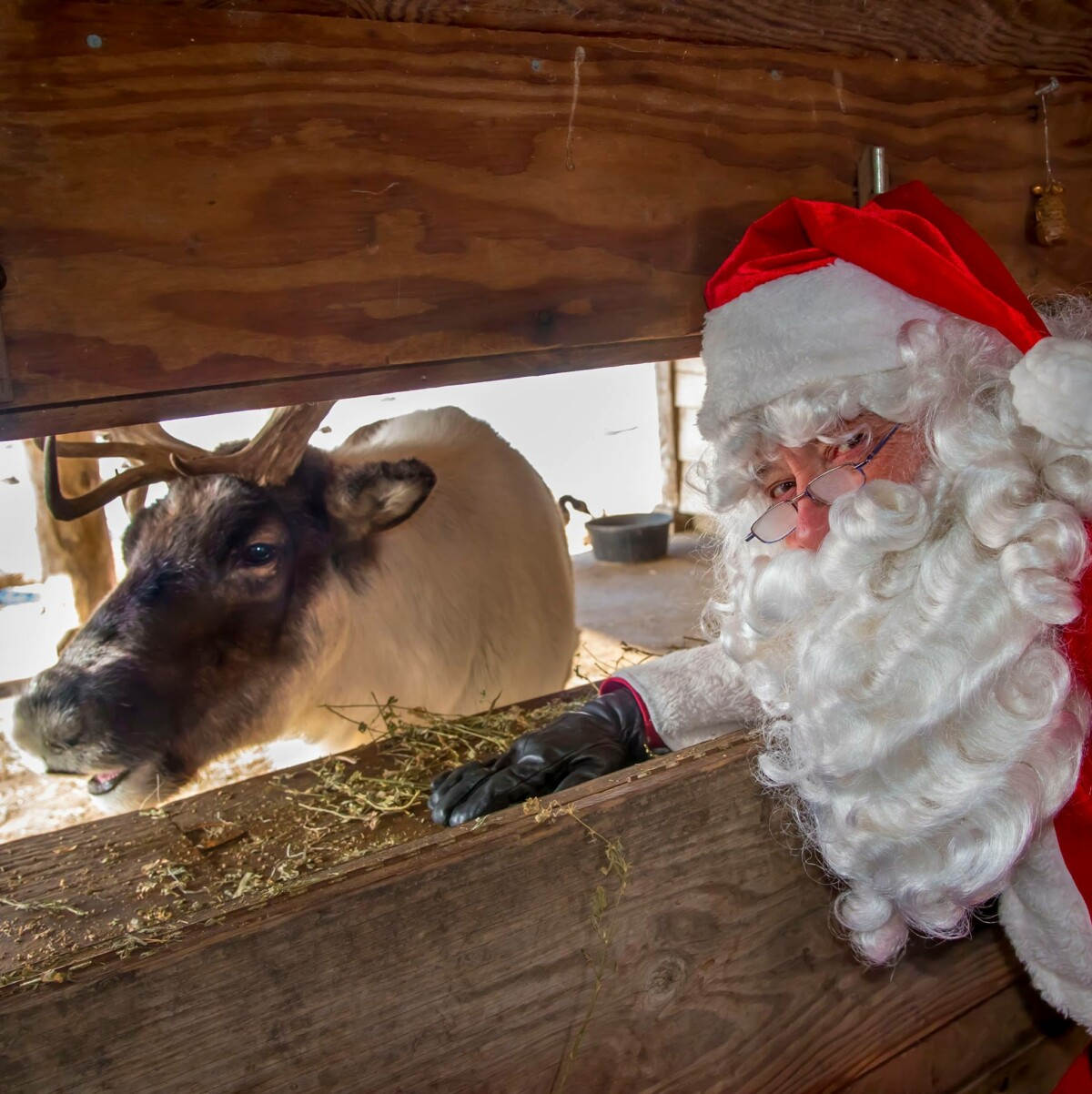 Winter at the Zoo - Visit Brookfield
